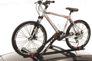 Melhores Transbikes 2025: 12 Melhores Opções - Pedalando e Educando